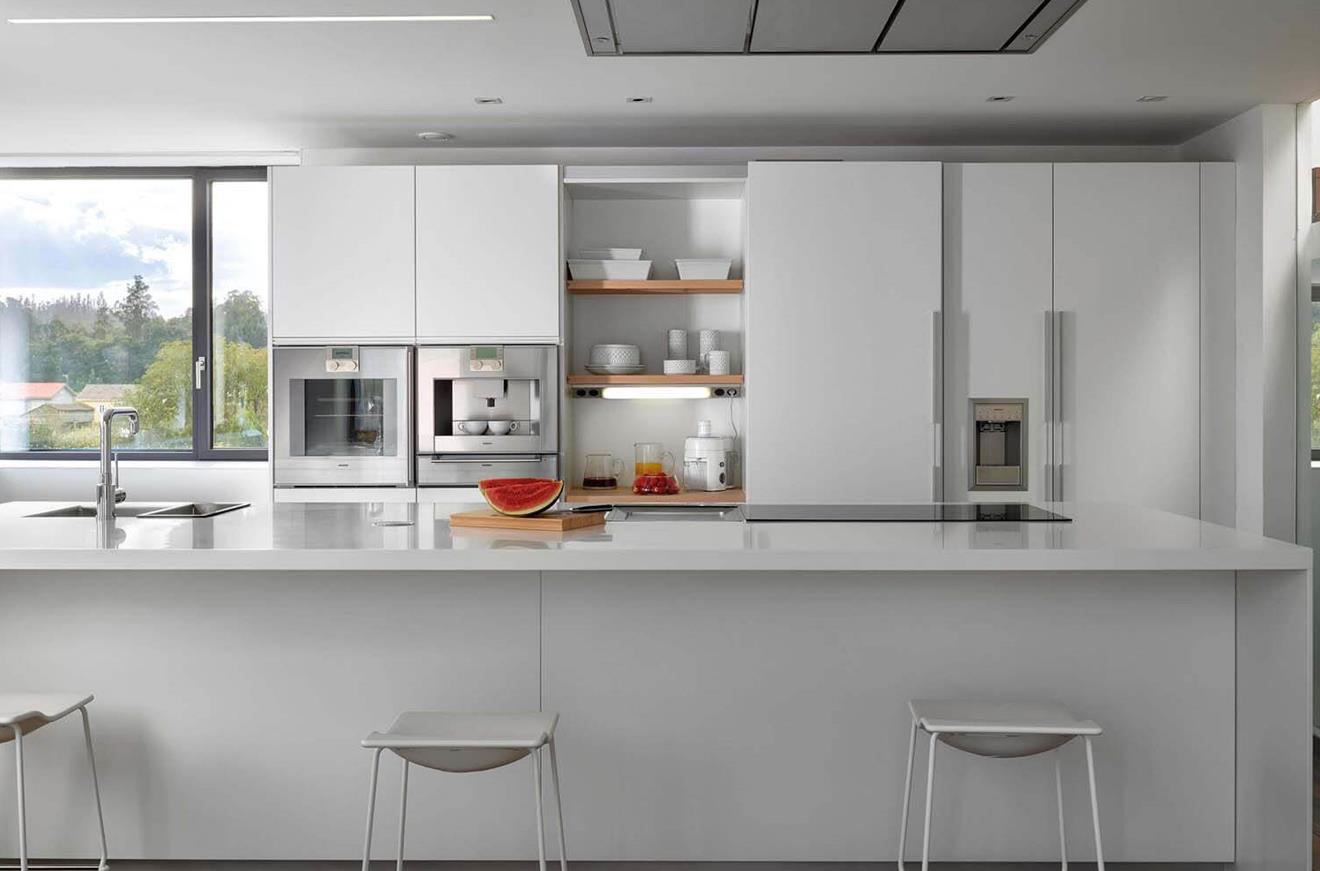 Revolutionize Your Kitchen: The Rise of Modular Kitchen Kabinet